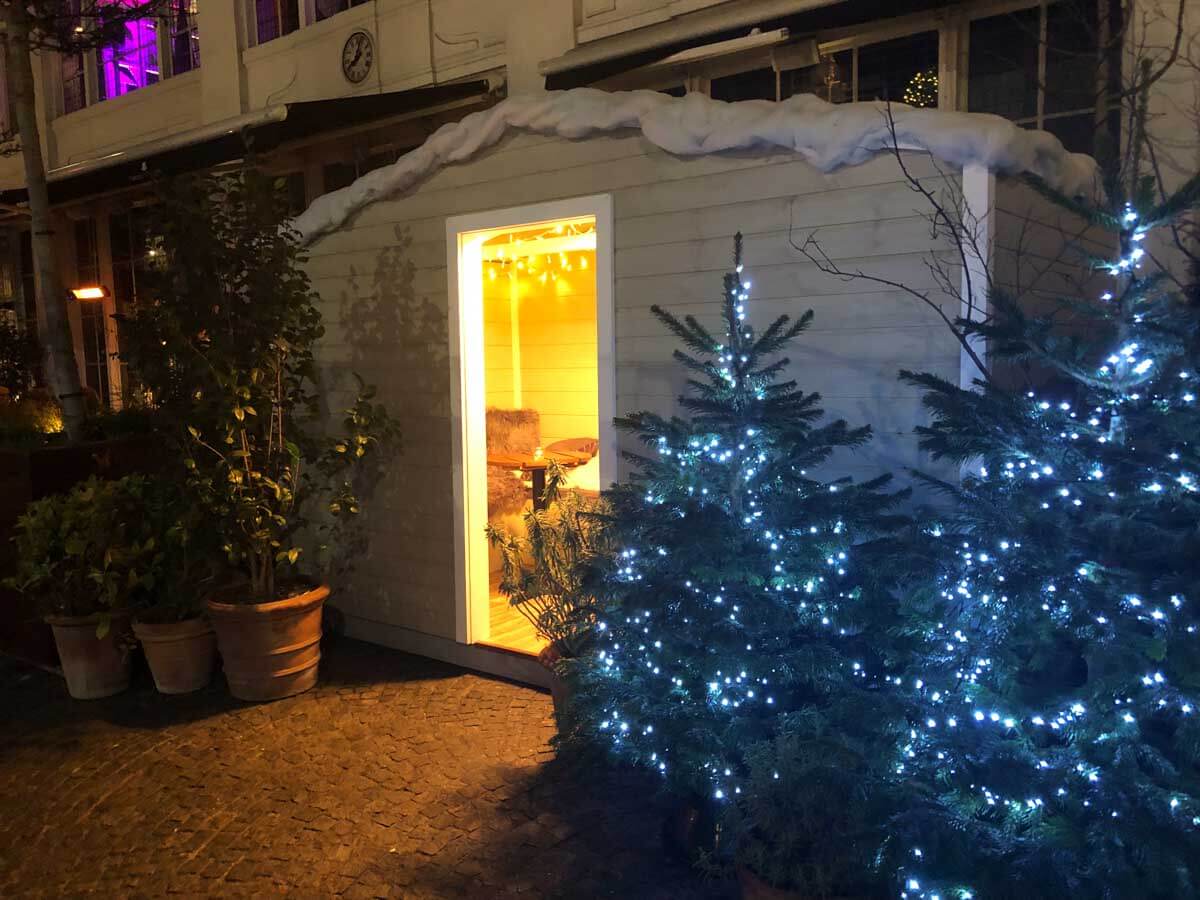 Bluebird Chelsea This Christmas