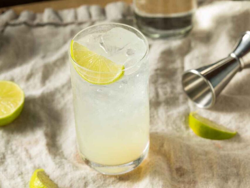 A Lush Life Manual | The How-To Guide for Living Life One Cocktail at a ...