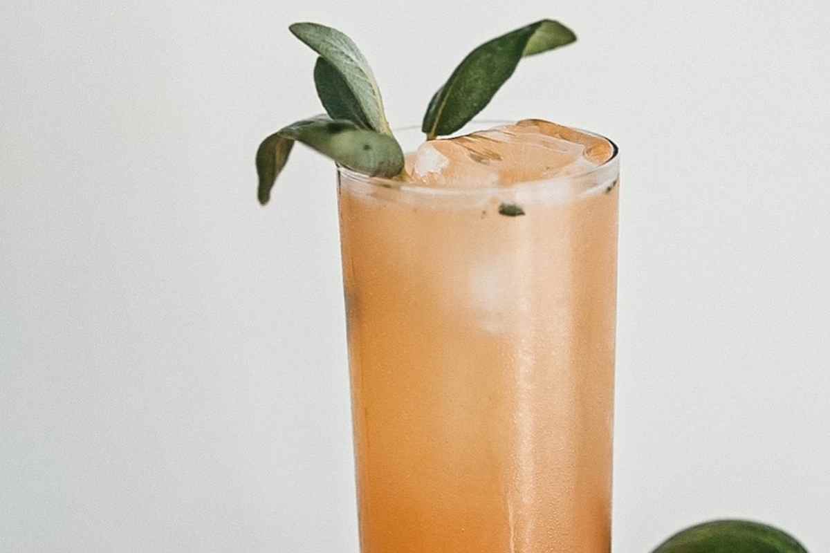 How To Make The C digo Tequila Autumn Sage How To Make The C digo Tequila Autumn Sage