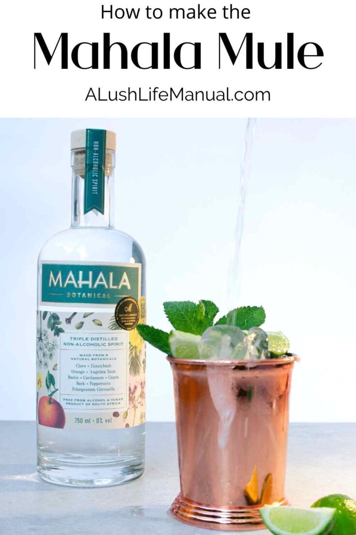 How To Drink Mahala With Danielle Schoeman & Paul Scanlon
