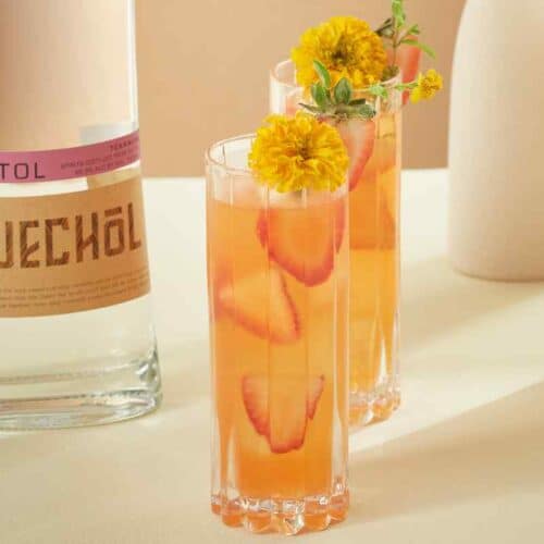 How To Make Quechol Sotol Desert Sun