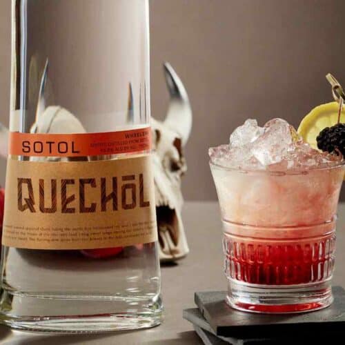 How To Make The Quechol Sotol Feathered Brambler