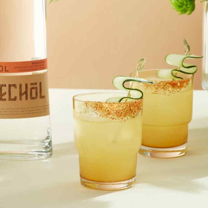How To Make The Quechol Sotol Spicy Songbird