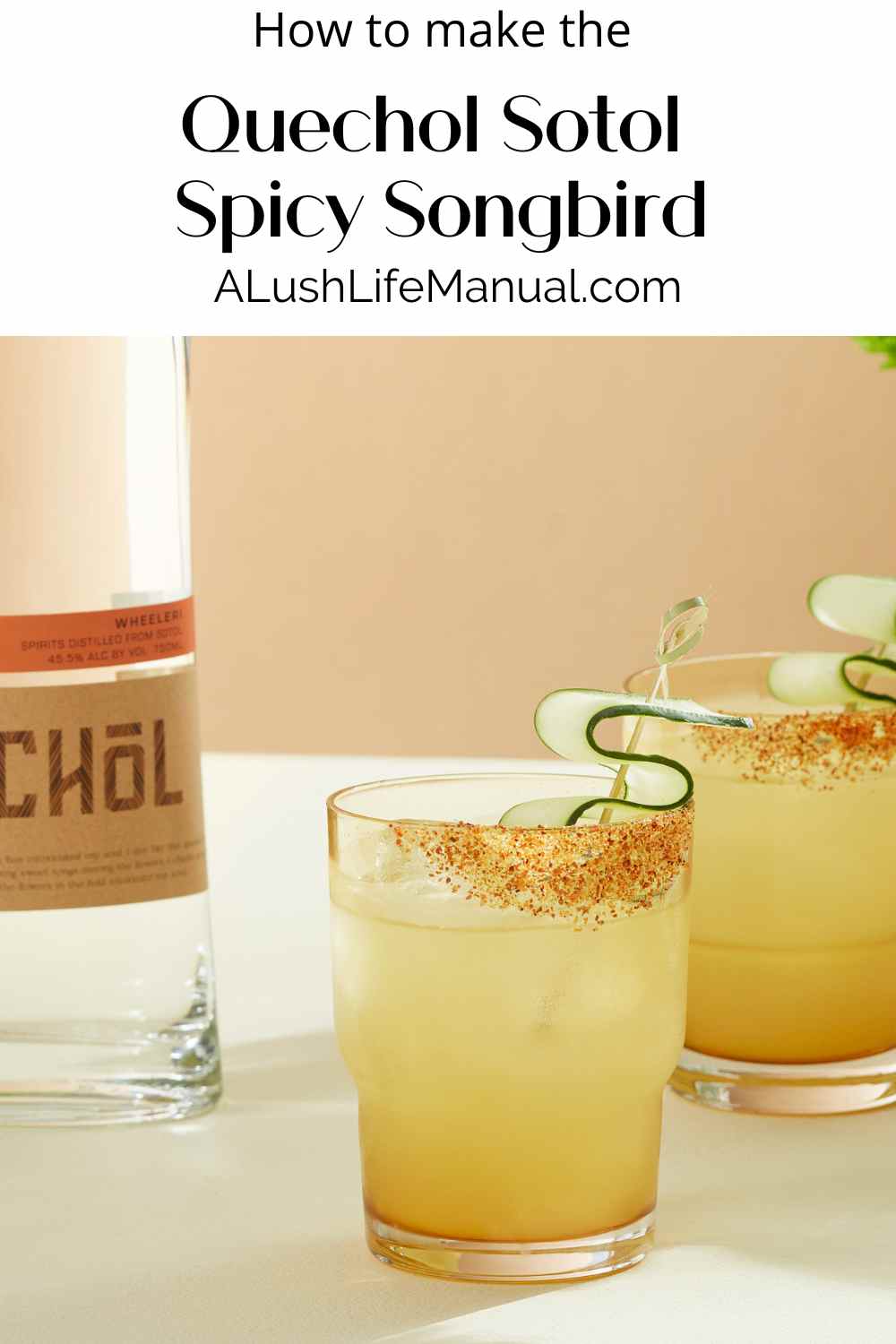 How To Make The Quechol Sotol Spicy Songbird