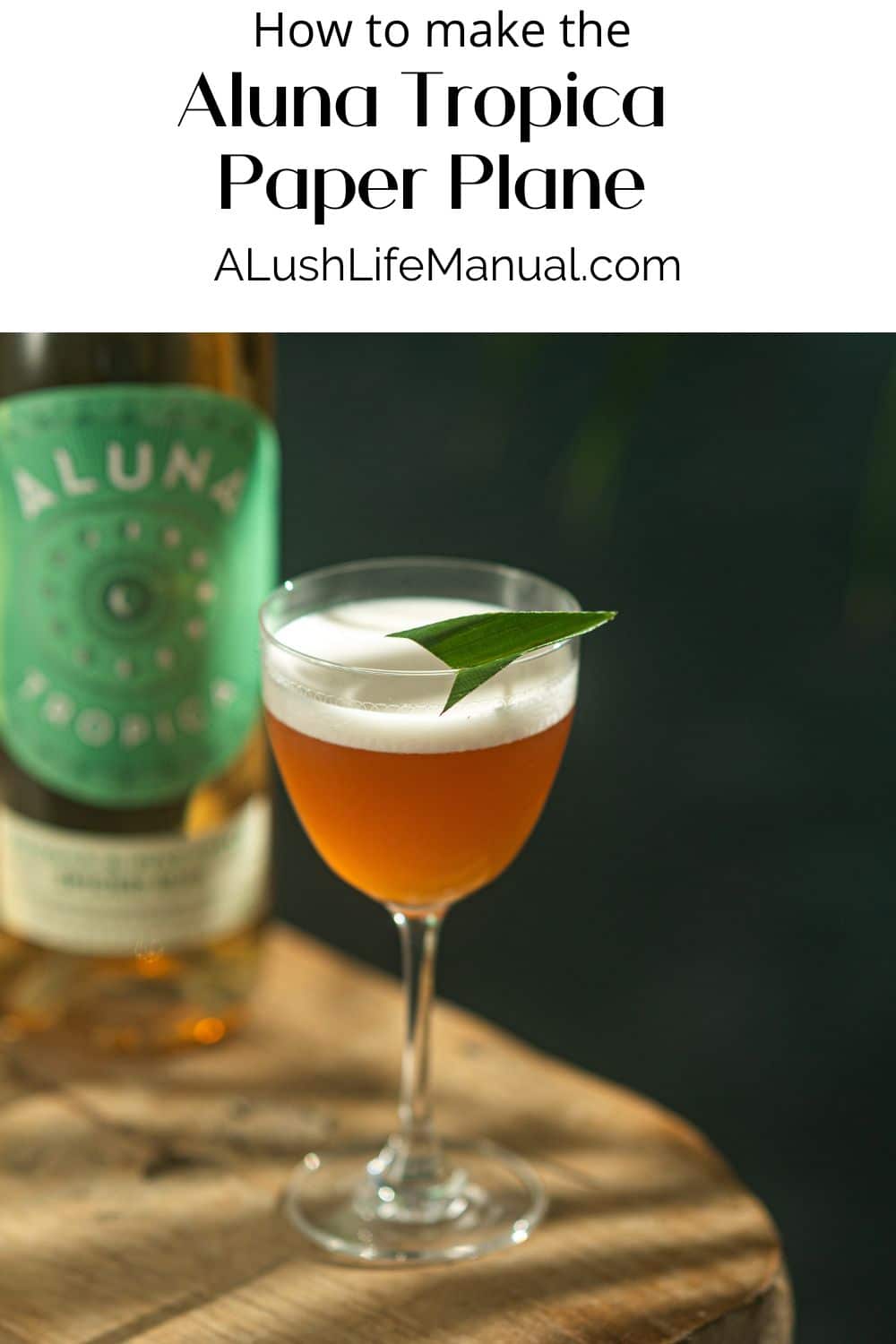 How To Make The Aluna Tropica Paper Plane